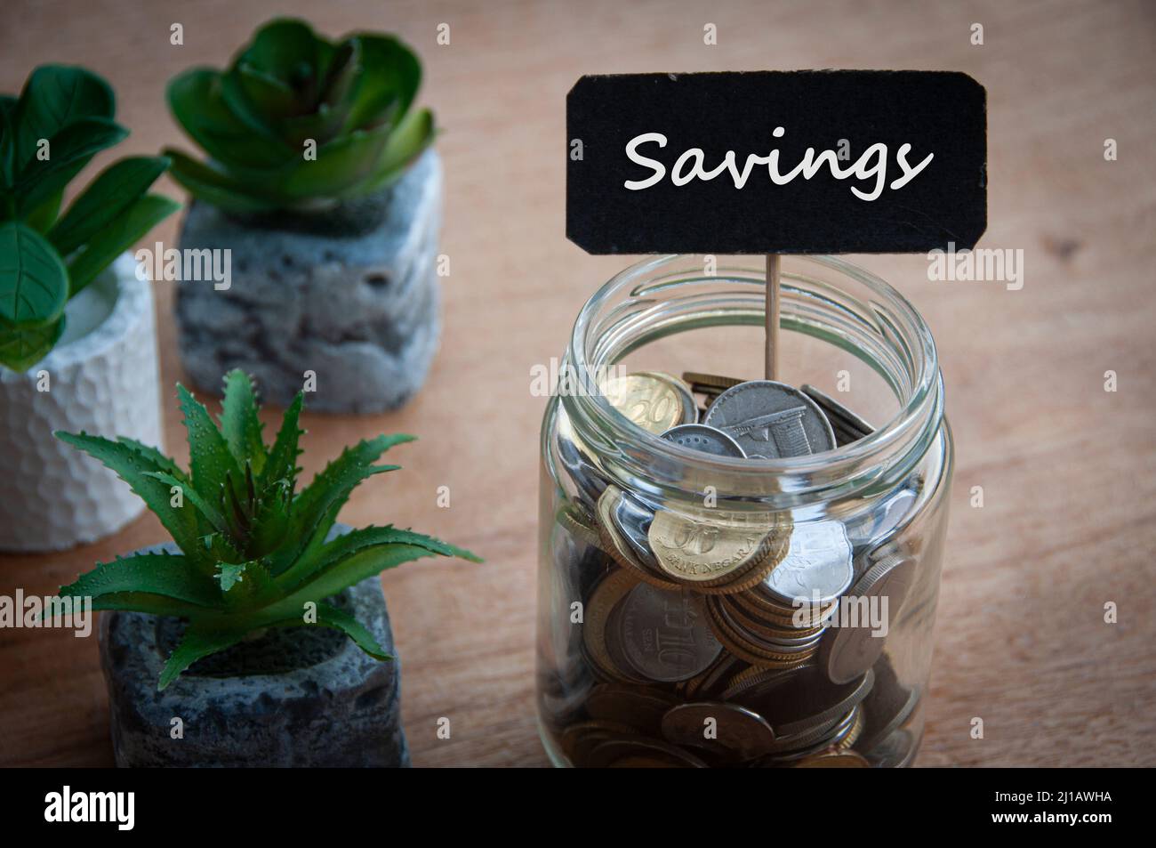 Savings text on small black banner with coins and plants background ...