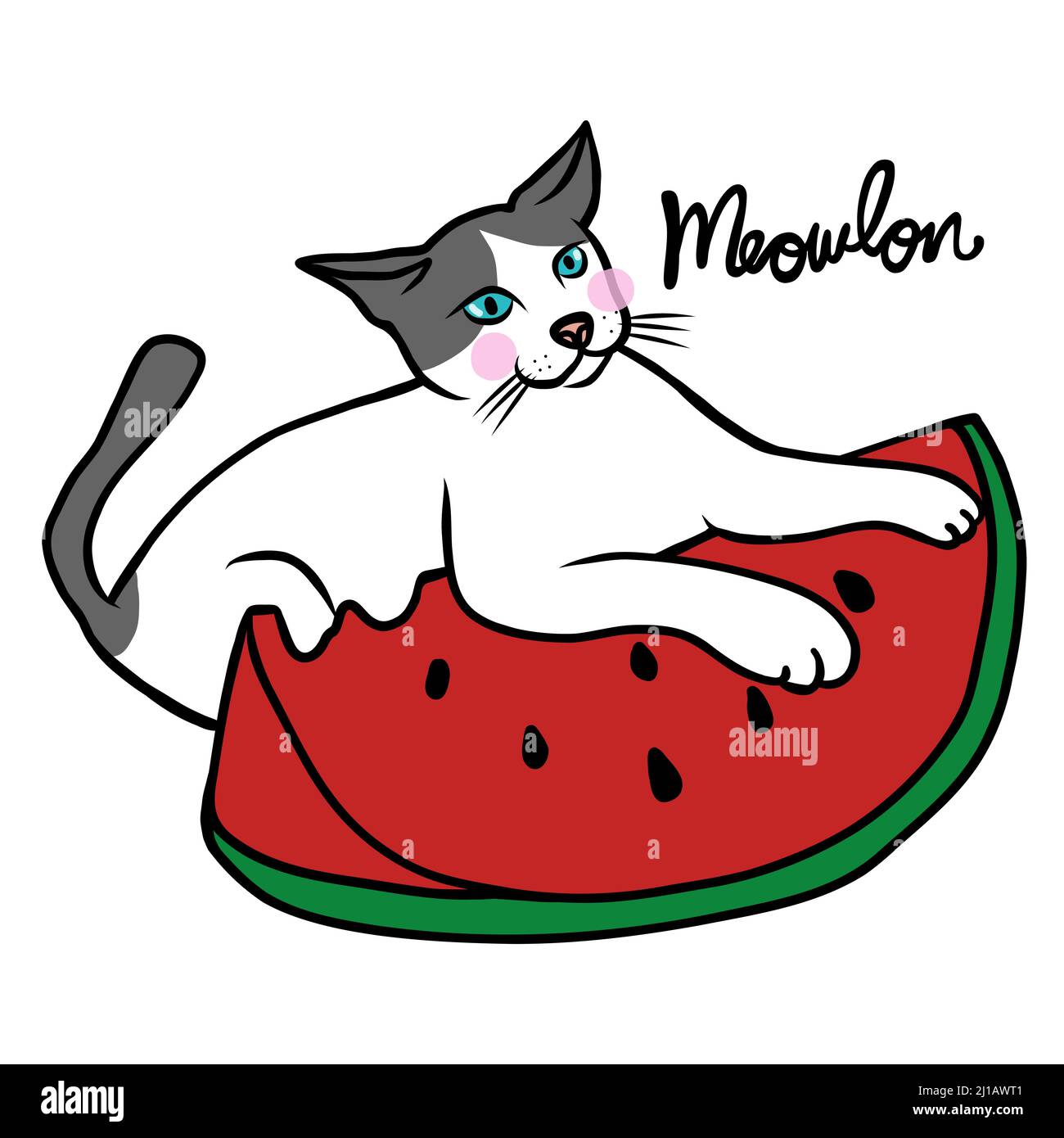 Cats In Watermelon