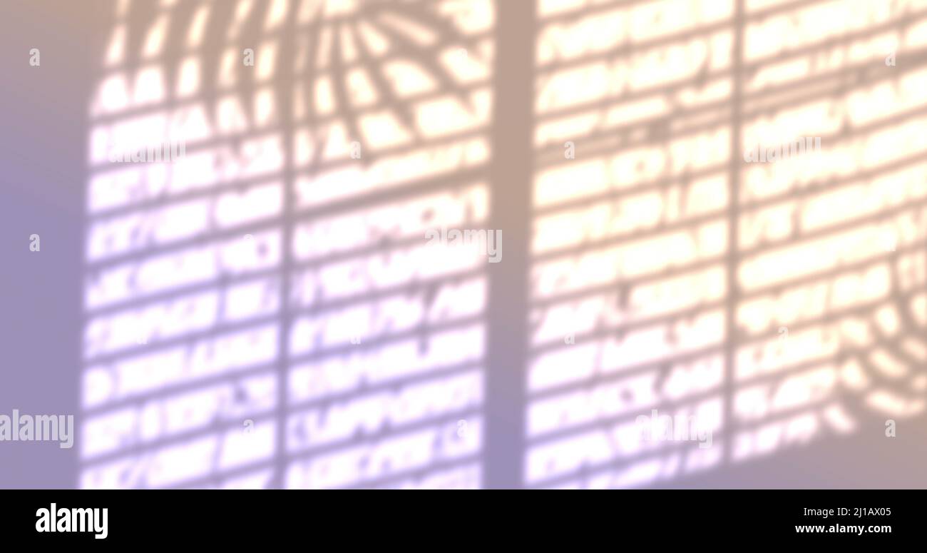 Image of window shadow of leaves blinds and rain falling on yellow ...