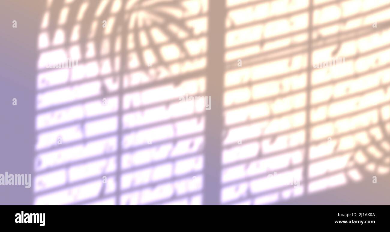 Image of window shadow of leaves blinds and rain falling on yellow ...