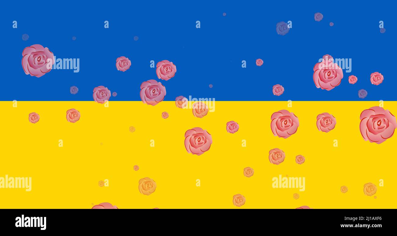 Image of pink roses floating over flag of ukraine Stock Photo - Alamy