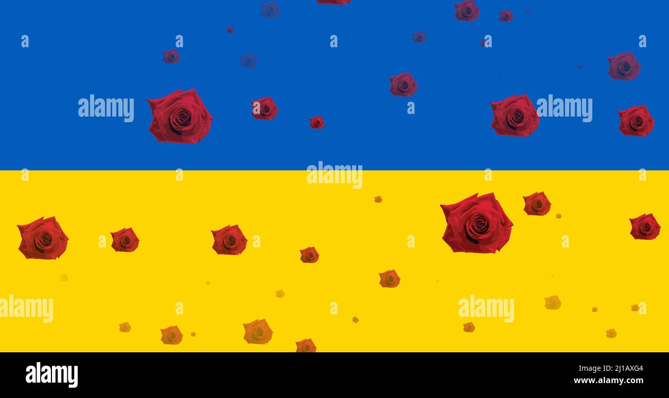 Image of red roses floating over flag of ukraine Stock Photo - Alamy