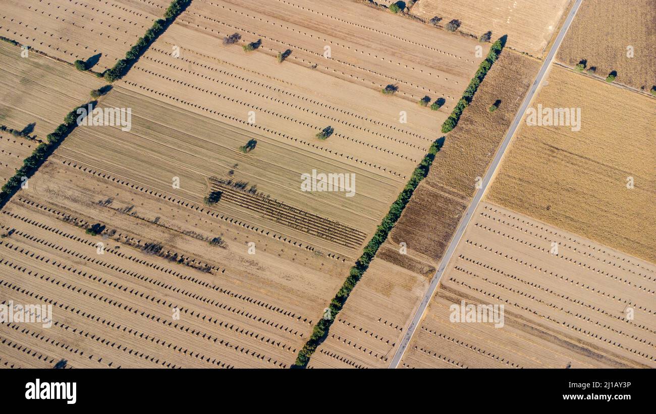 An aerial view of agricultural fields Stock Photo - Alamy