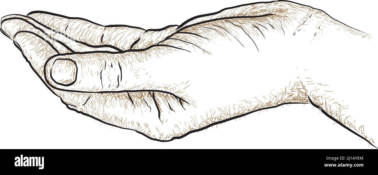 Hand with palms up Stock Vector Image & Art - Alamy