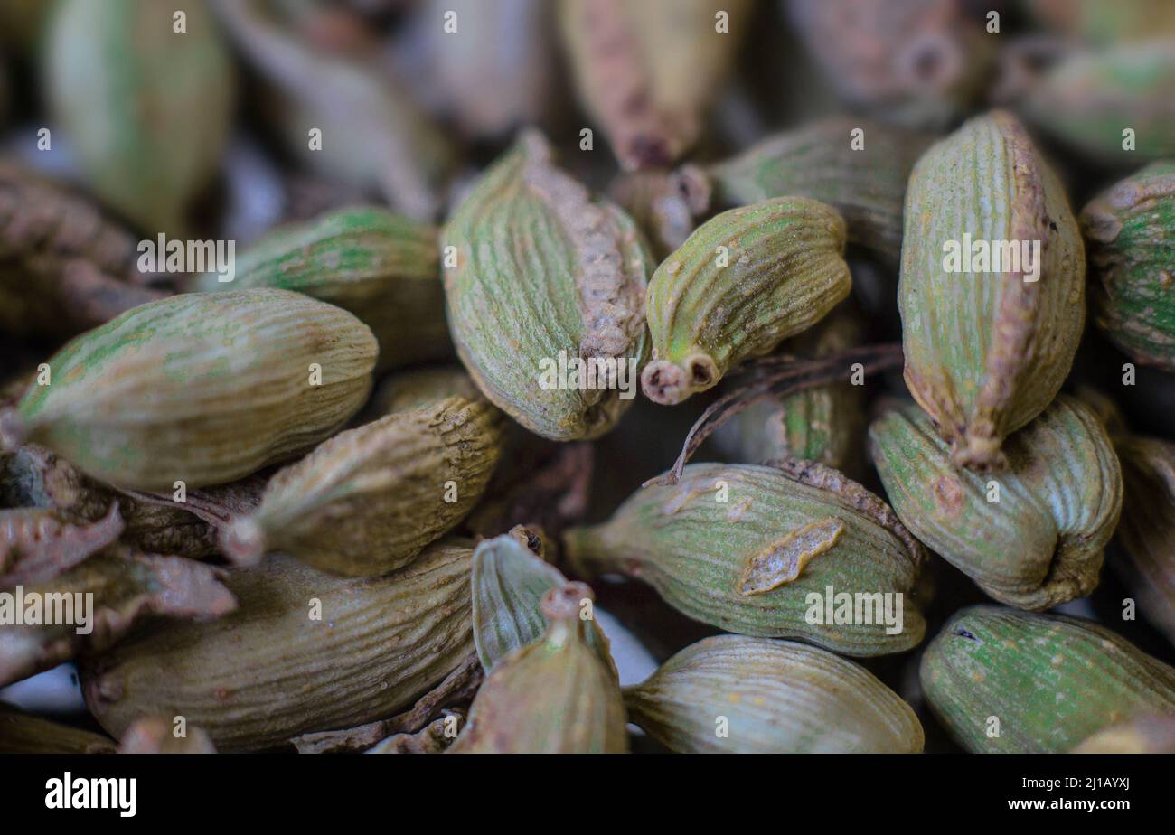 Green cardamom texture hi-res stock photography and images - Alamy
