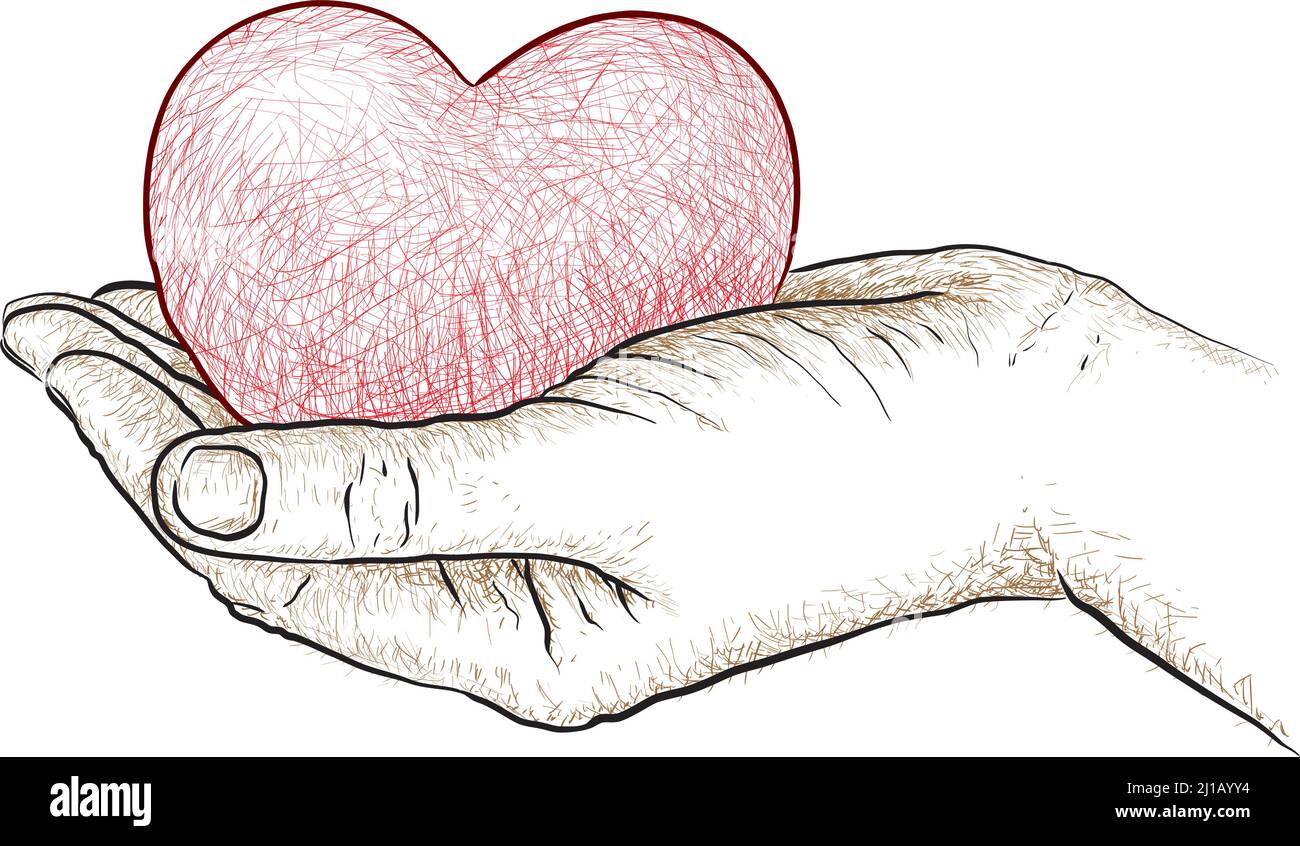 Heart in hand, vector drawing Stock Vector Image & Art - Alamy