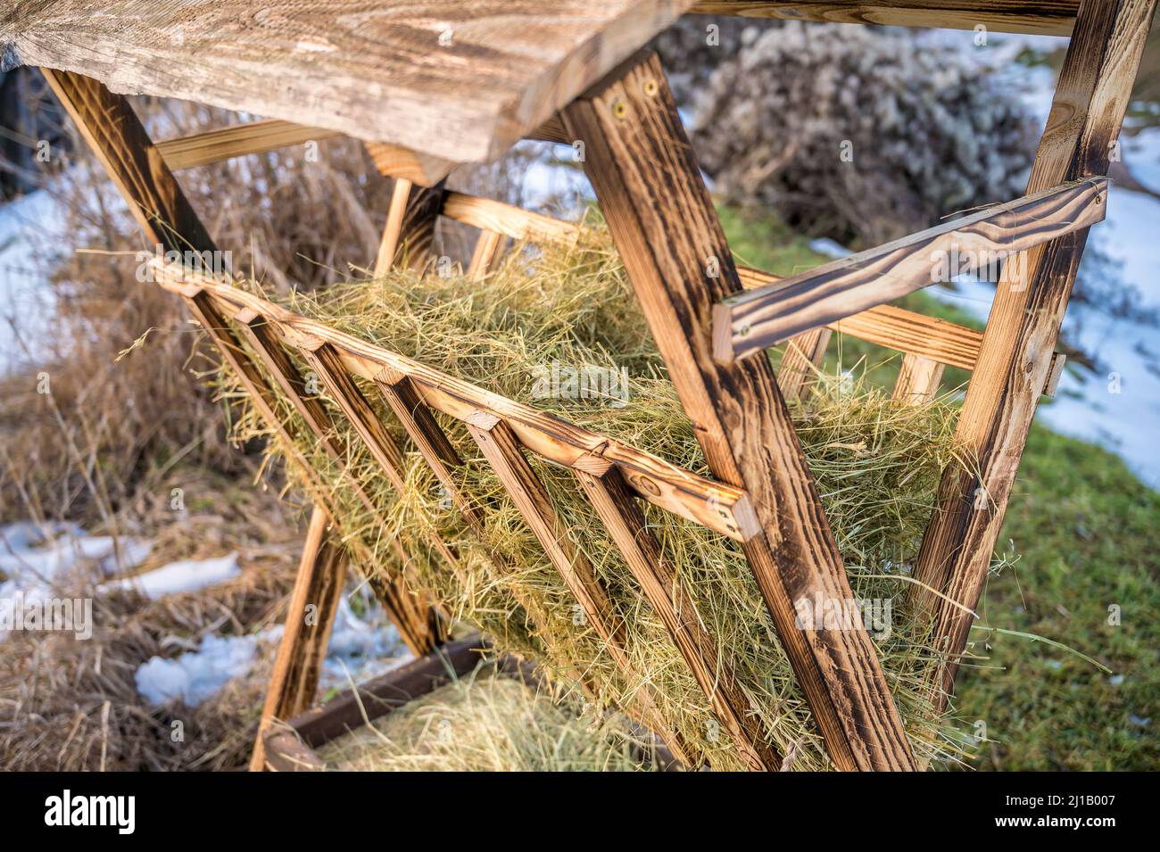 Self-made manger with hay as decoration or for feeding fallow deer ...