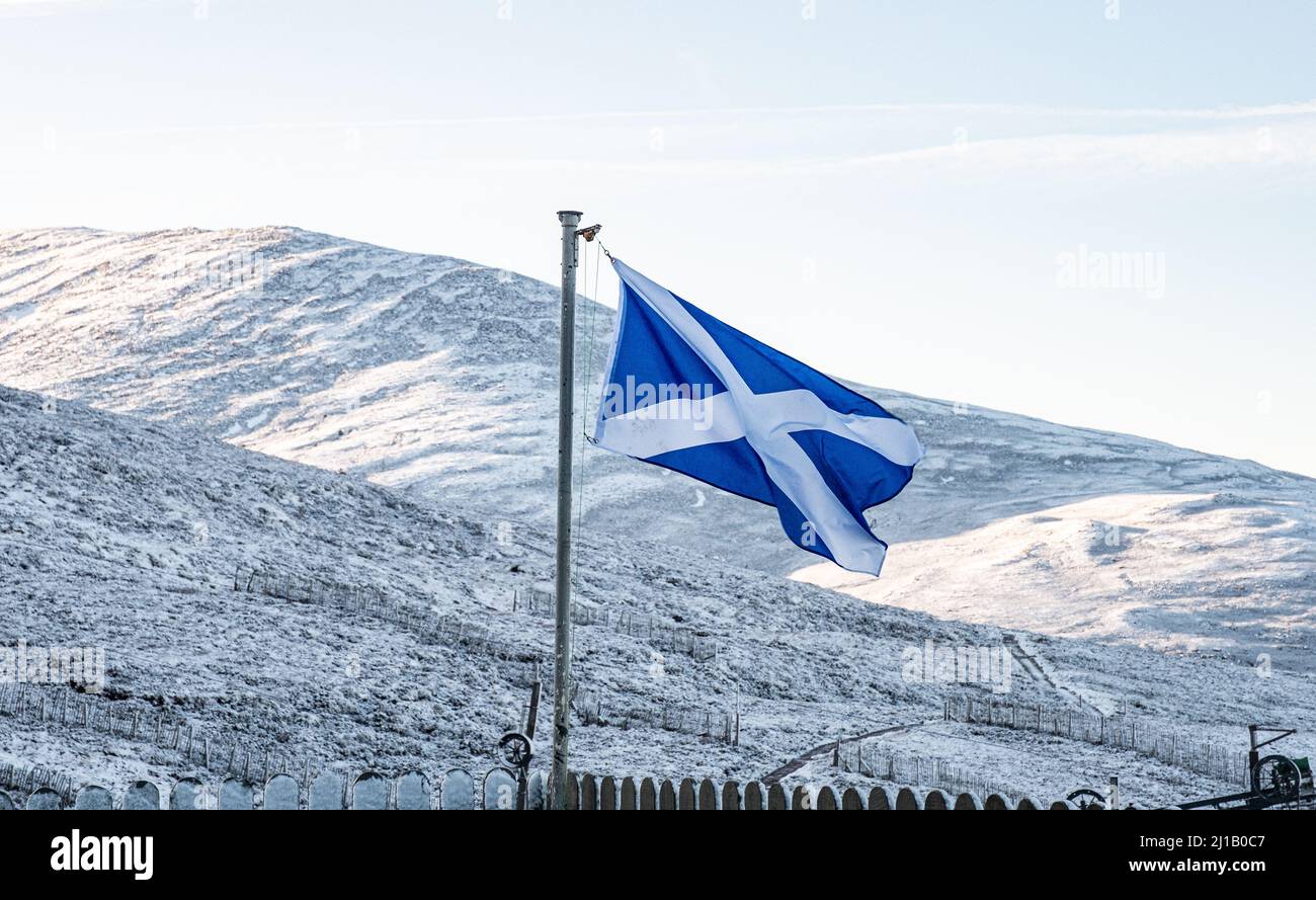 The Scottish flag ( aka 'The Saltire' ) flying at the ski resort lodge ...