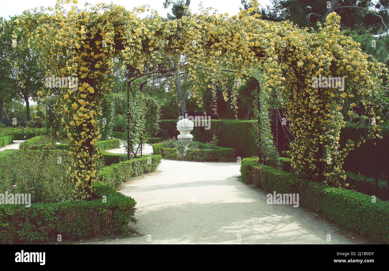 Arch of roses hi-res stock photography and images - Alamy