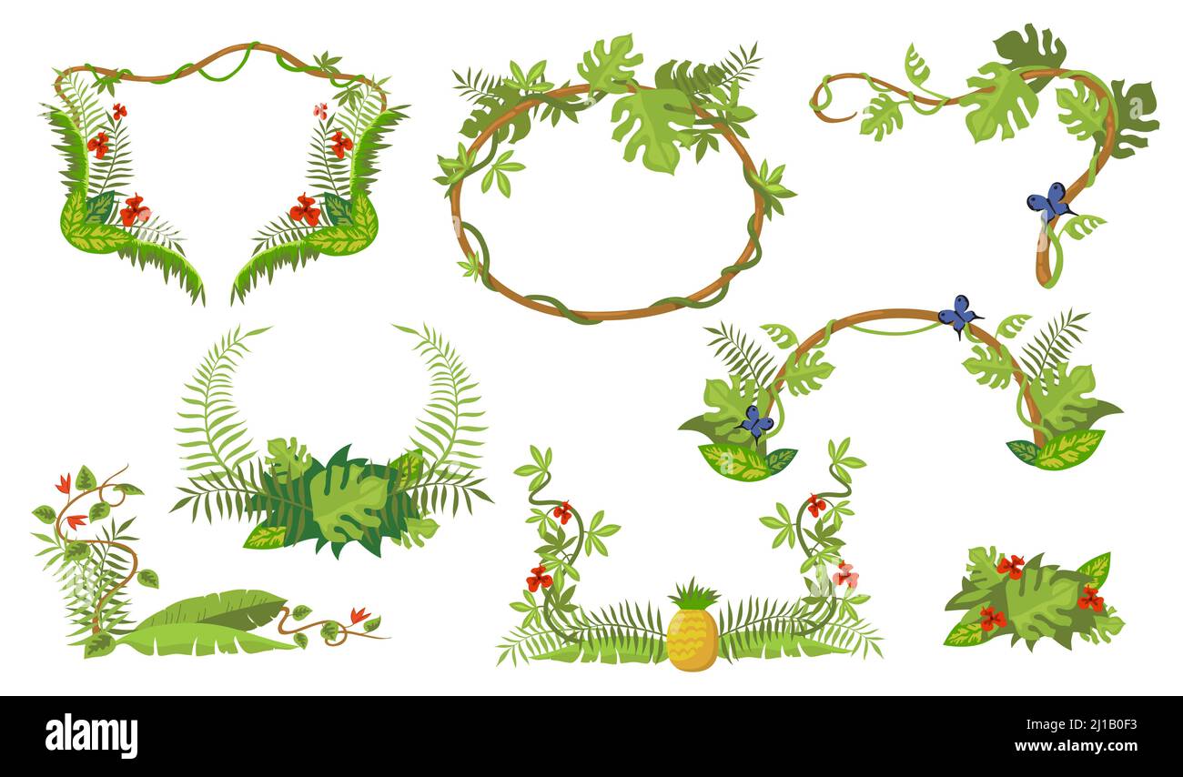 Tropical plants frame set. Jungle forest branches and leaves. Vector ...