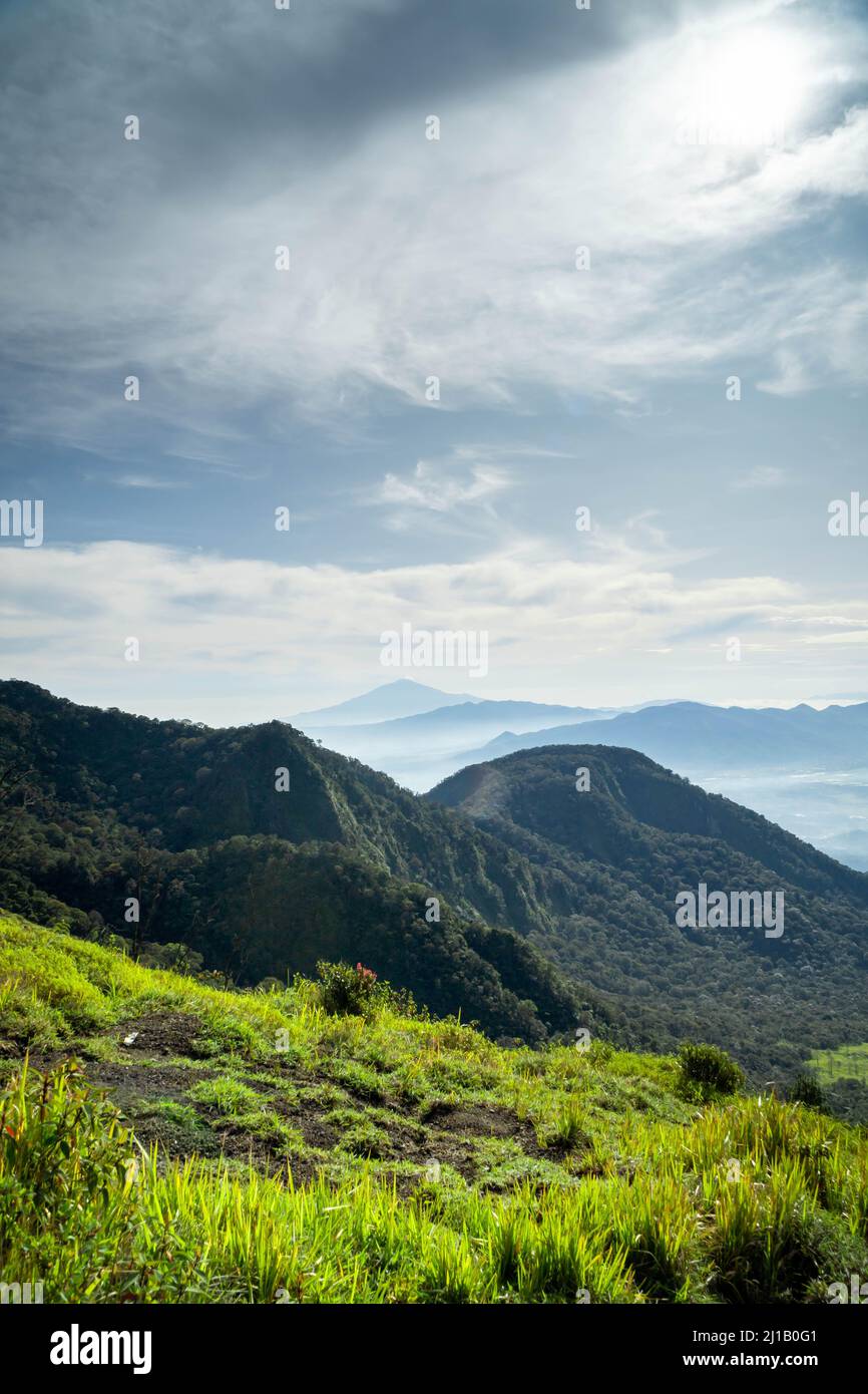 View of Indonesia's mountains with wide green grass Stock Photo - Alamy