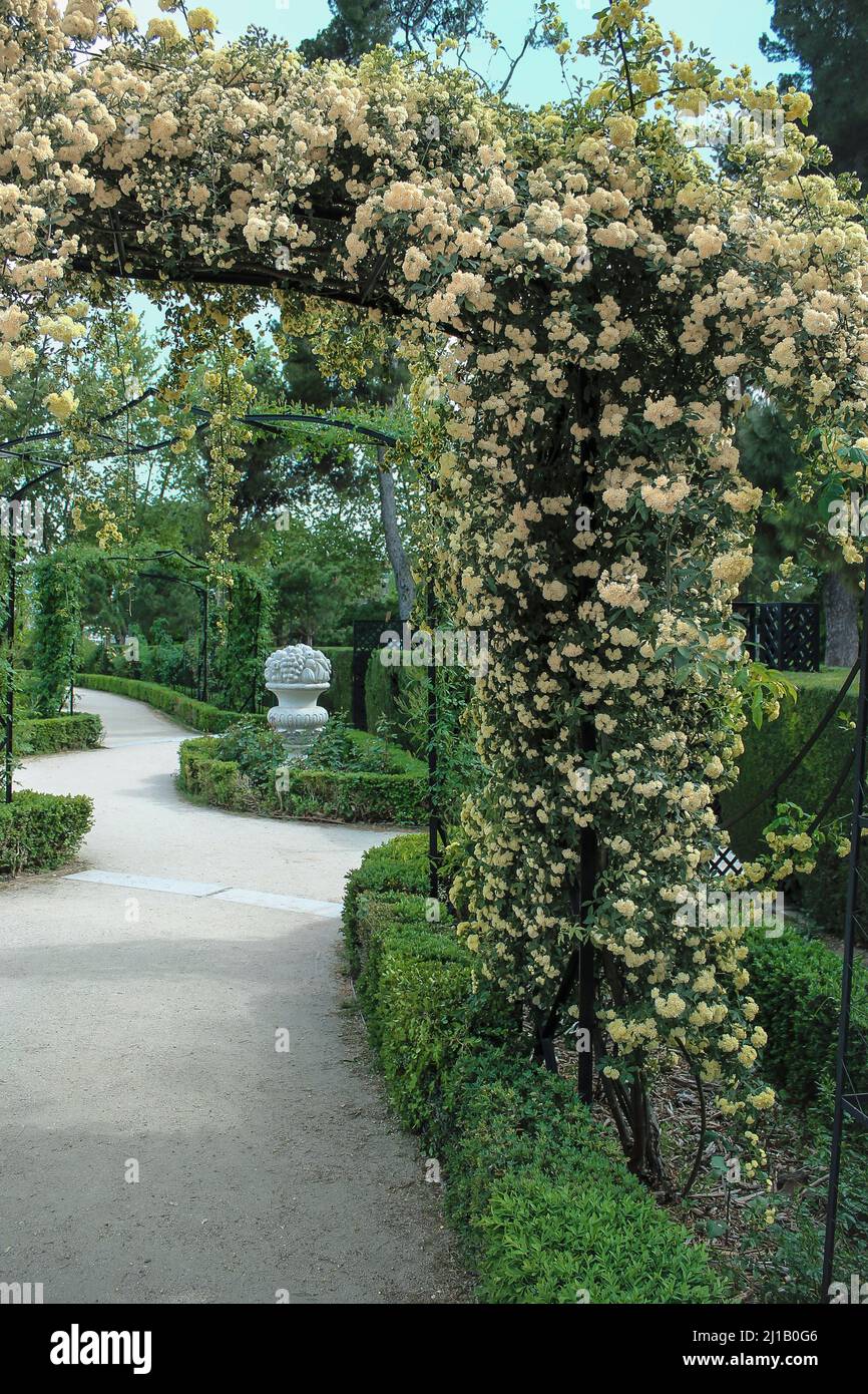 Arch of roses hi-res stock photography and images - Alamy