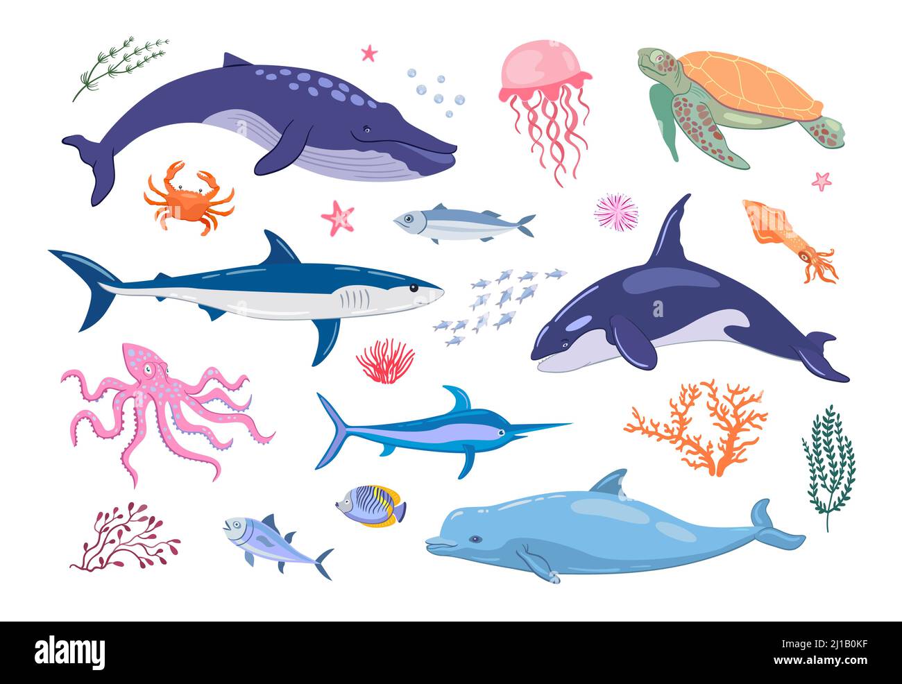 Animals dolphin illustration shark cartoon hi-res stock photography and ...