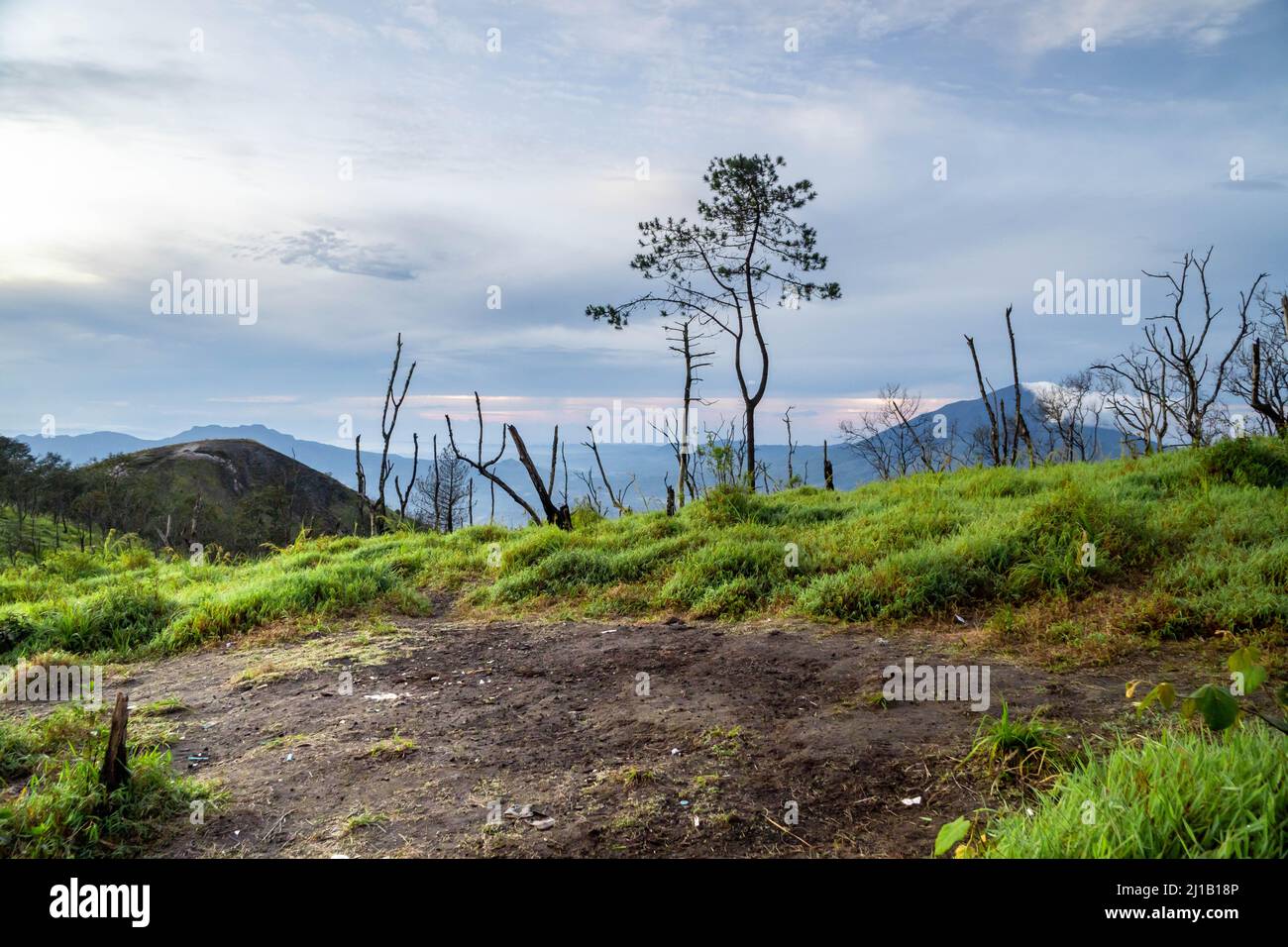 View of Indonesia's mountains with wide green grass Stock Photo - Alamy