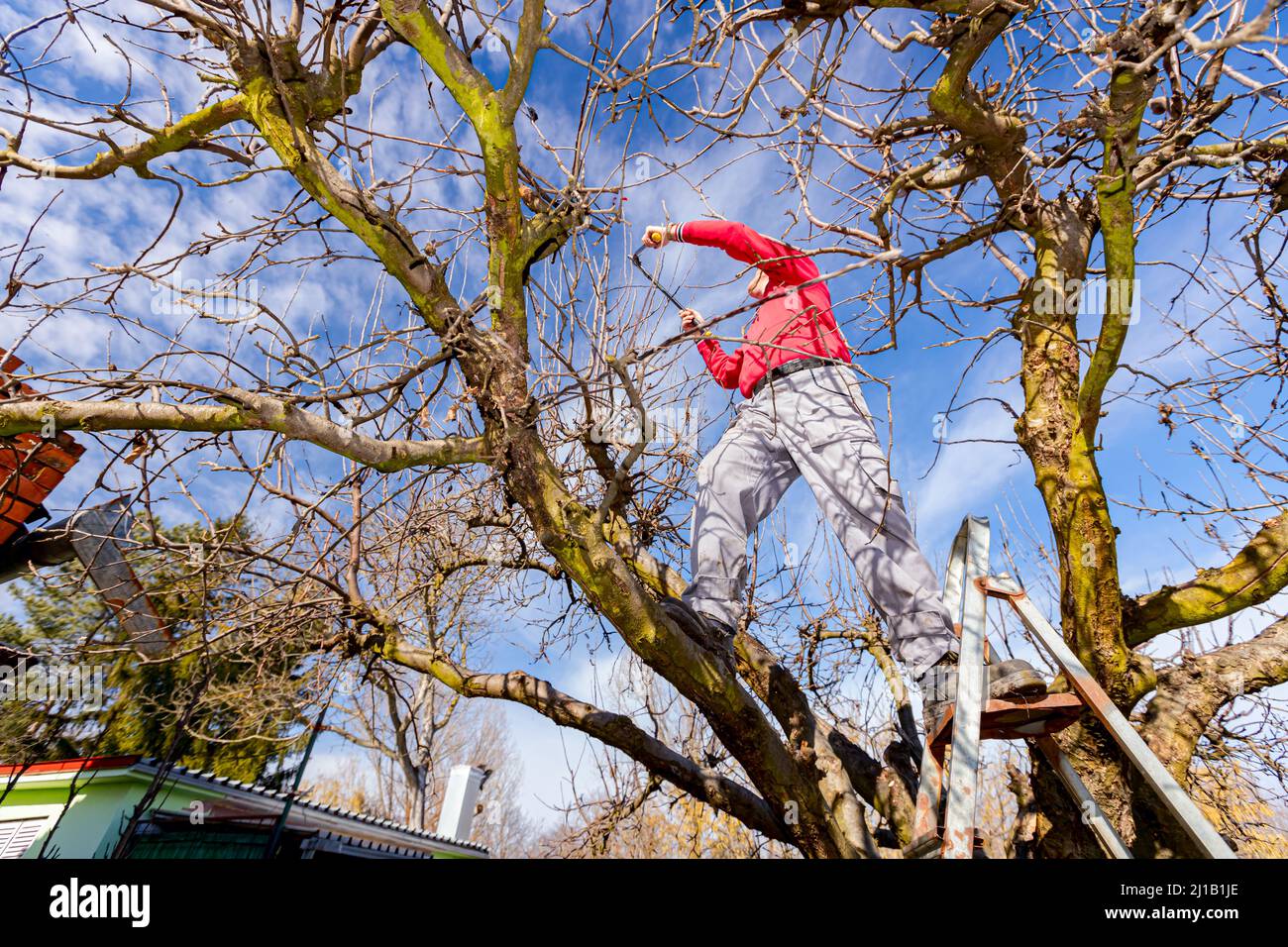 Old man up ladder hi-res stock photography and images - Alamy