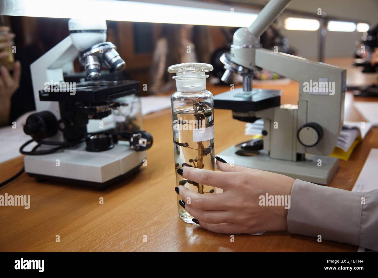Student with microscope in laboratory. Biology Lab. Close-up microscope ...