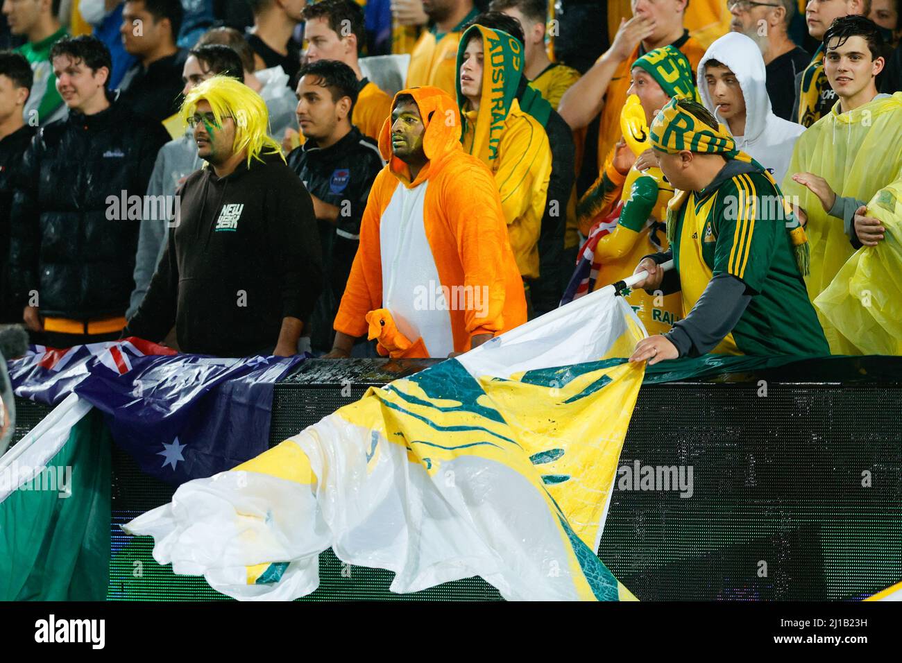 Australian soccer fans in fifa hi-res stock photography and images - Alamy