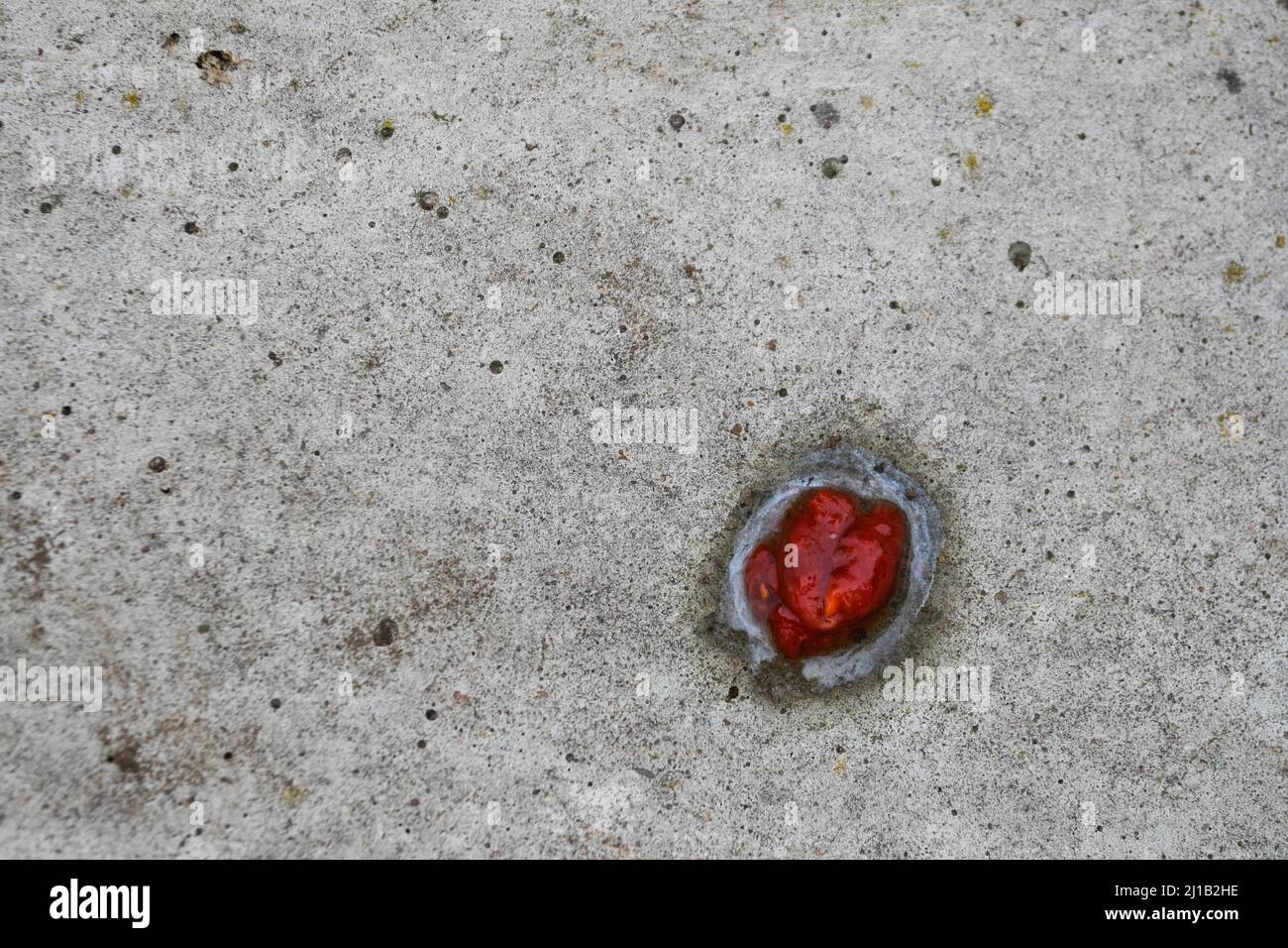 red coloured bird poo Stock Photo - Alamy