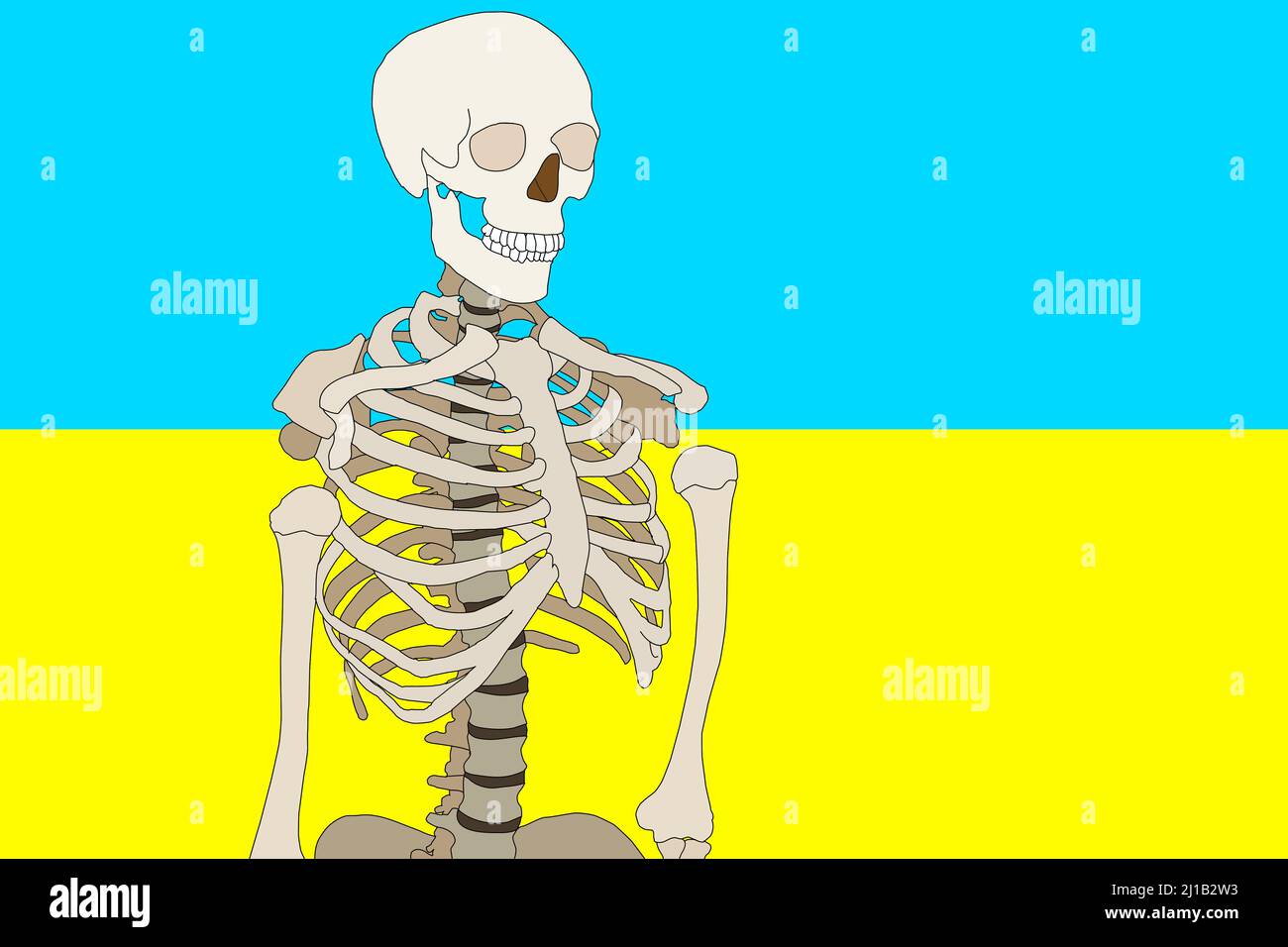 Human skull with Ukrainian flag isolated on background Stock Photo - Alamy