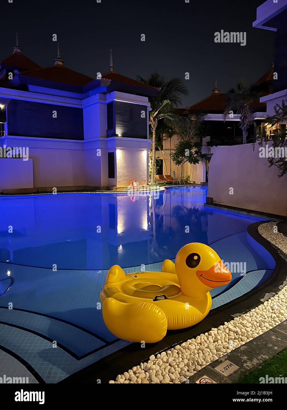 Bathing duckling hi-res stock photography and images - Alamy