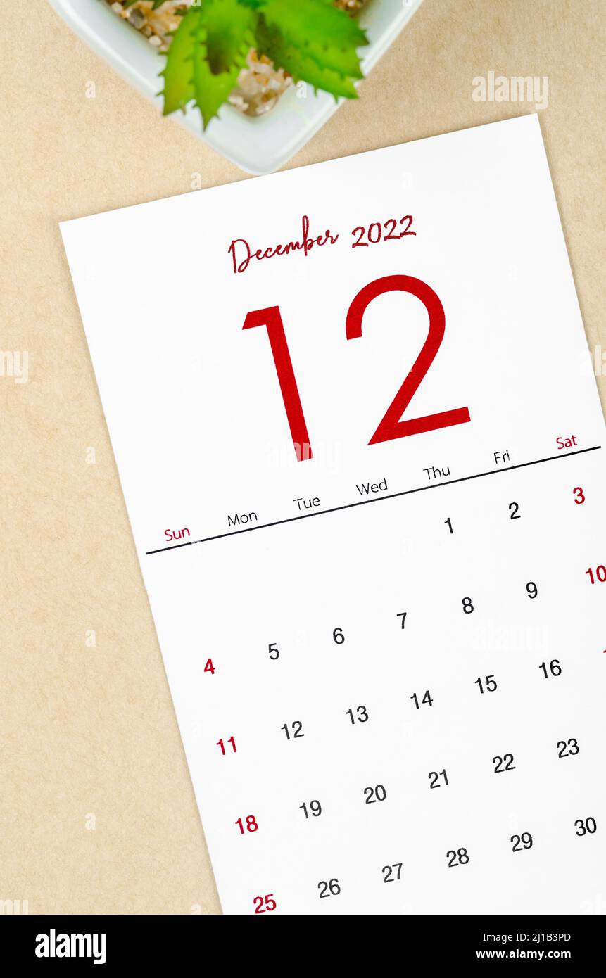 The December 2022 calendar with plant pot on brown paper background ...