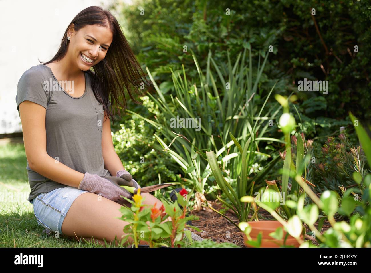 Greener tomorrow hi-res stock photography and images - Alamy