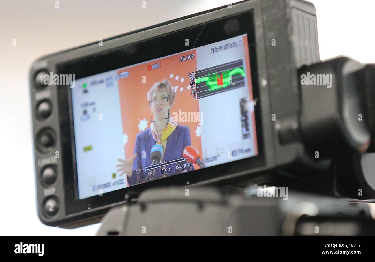 Ivana Bacik speaks to party members moments after being elected the ...