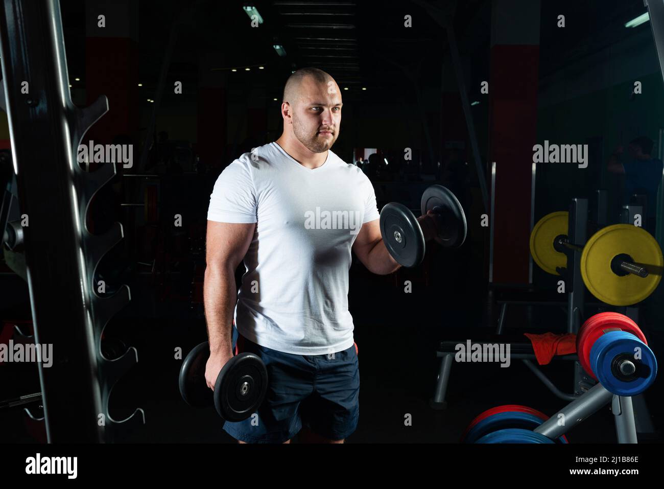 Male bodybuilder engaged with dumbbells in the gym Stock Photo - Alamy