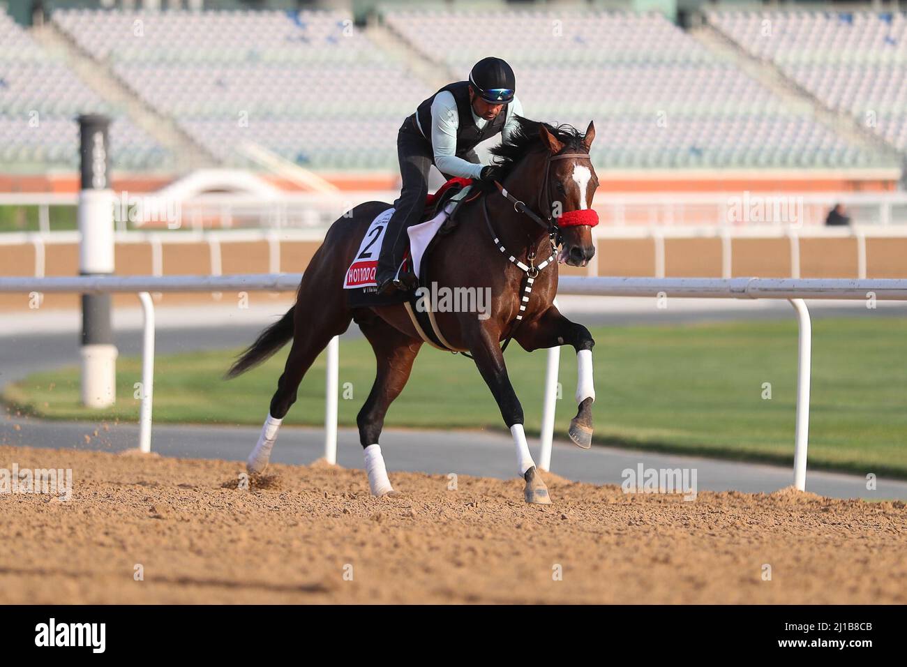 Dubai world cup 2022 racing hi-res stock photography and images - Alamy