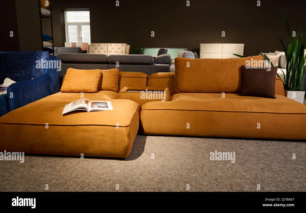 Bright orange couch with a catalogue exhibited for sale in the ...