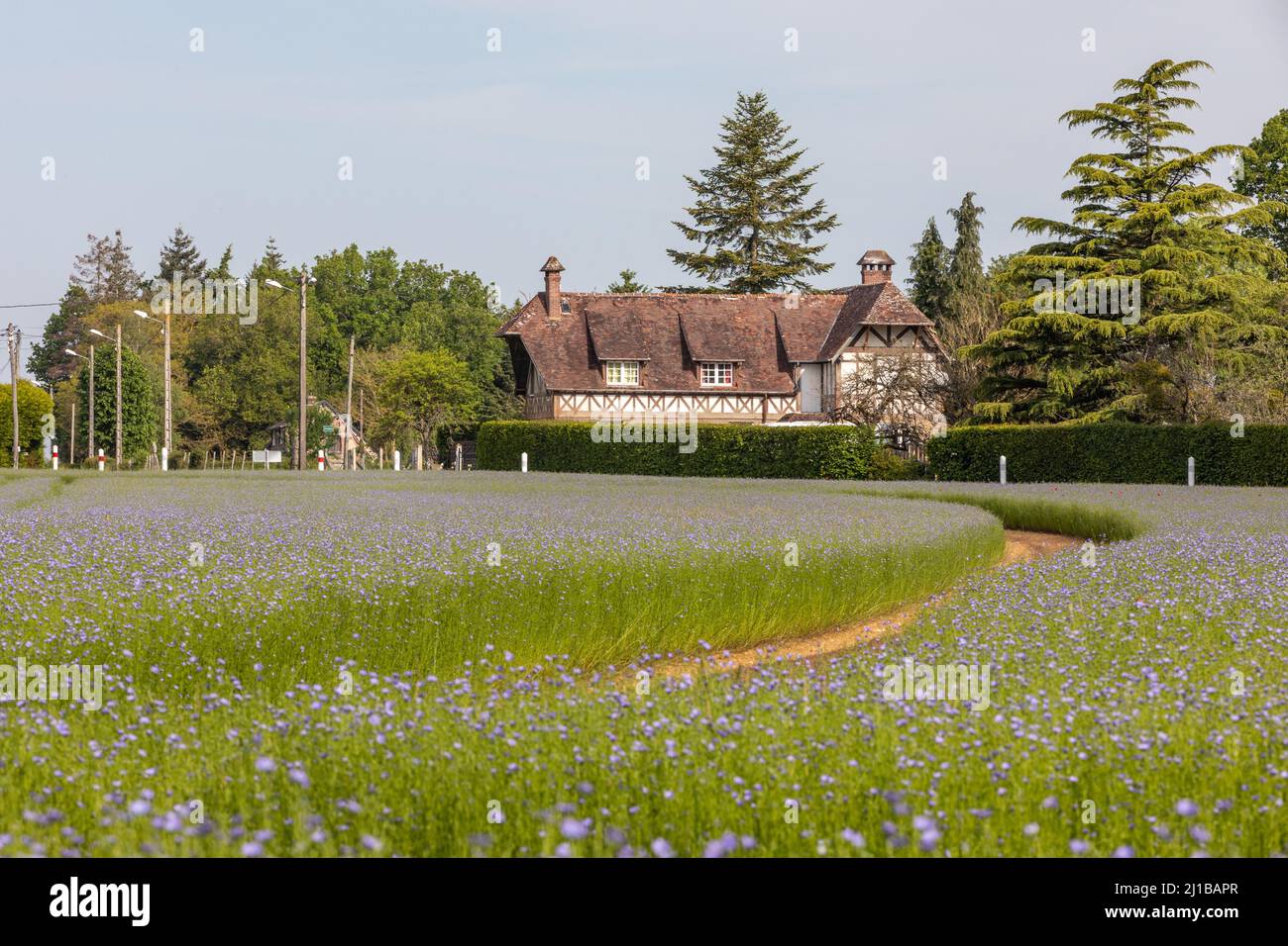 Flower field house hi-res stock photography and images - Alamy