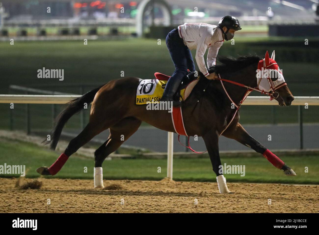 Dubai, USA. 23rd Mar, 2022. March 23, 2022: Panthalassa exercises in ...