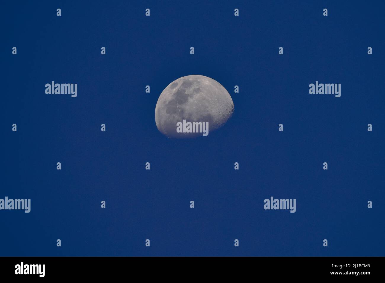 The Moon detailed shot in blue daylight sky, Half Moon Background, The ...