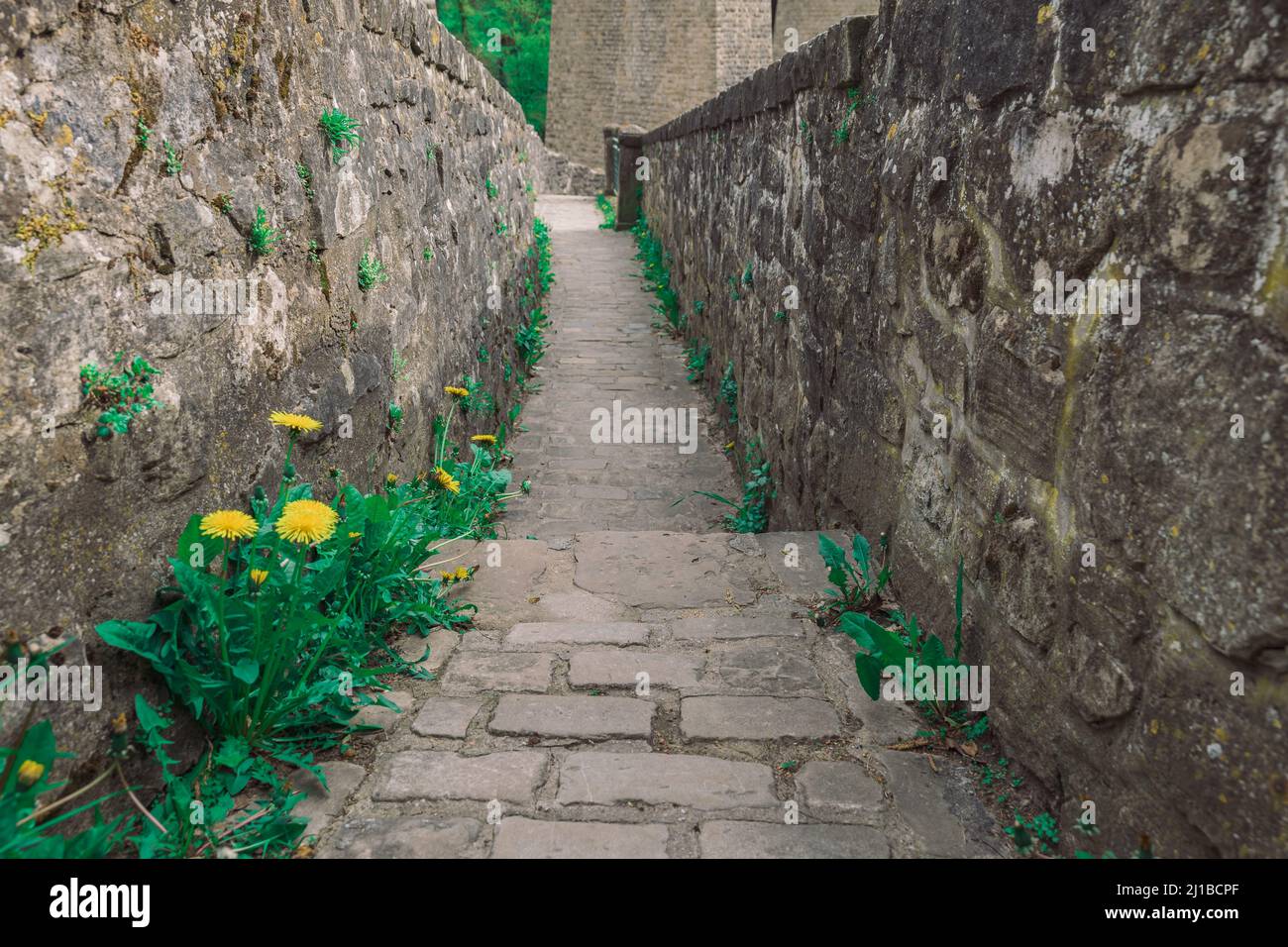 an old stone path between two walls in the park Stock Photo - Alamy