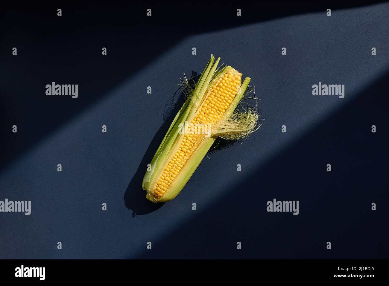 A green ear of corn. Juicy corn of a new harvest. Close-up. Blue ...