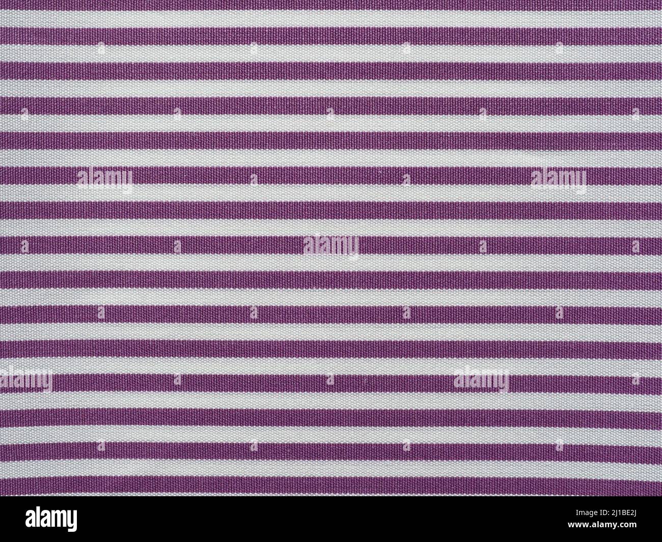 striped purple and white cotton fabric texture useful as a background ...