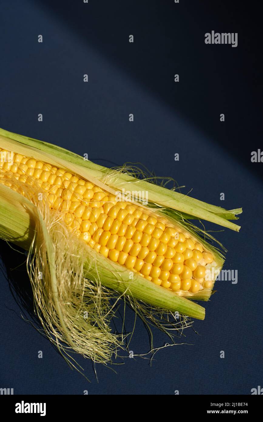 Ear Of Corn