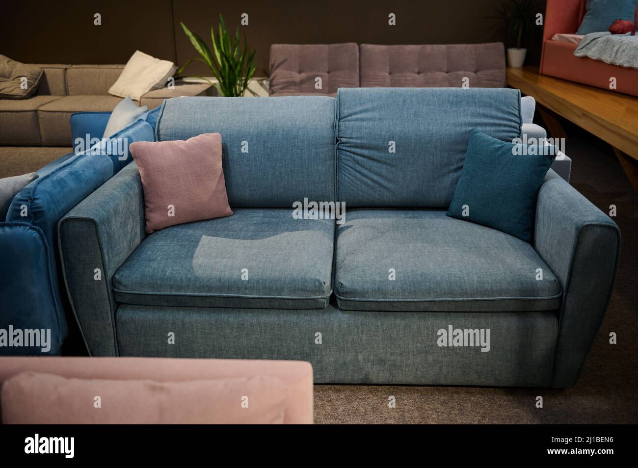 Furniture store with sofas and couches on display for sale, copy space ...