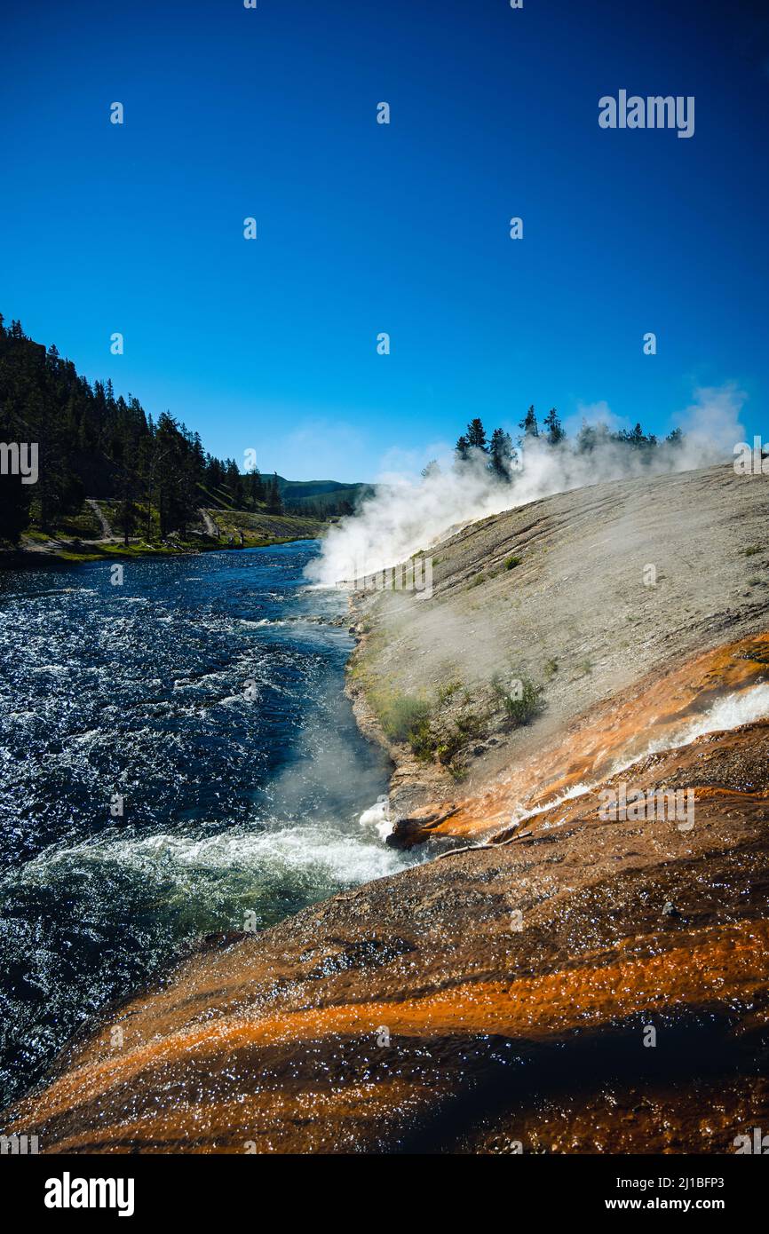 A vertical shot of the river and pine trees against the blue sky ...