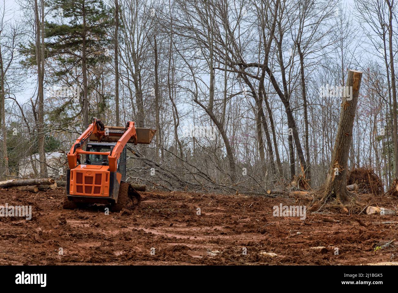 Tree stump removal the digging out of trunk roots with mini excavator ...