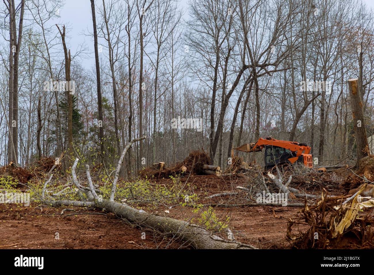 New development tractor working the clearing land on forest property ...