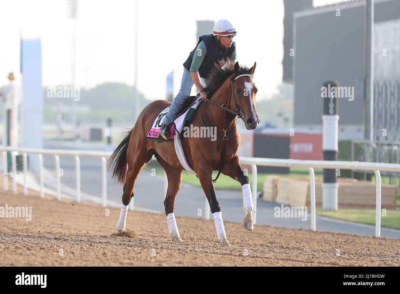 Gilded Age exercises in preparation for the UAE Derby at Meydan ...