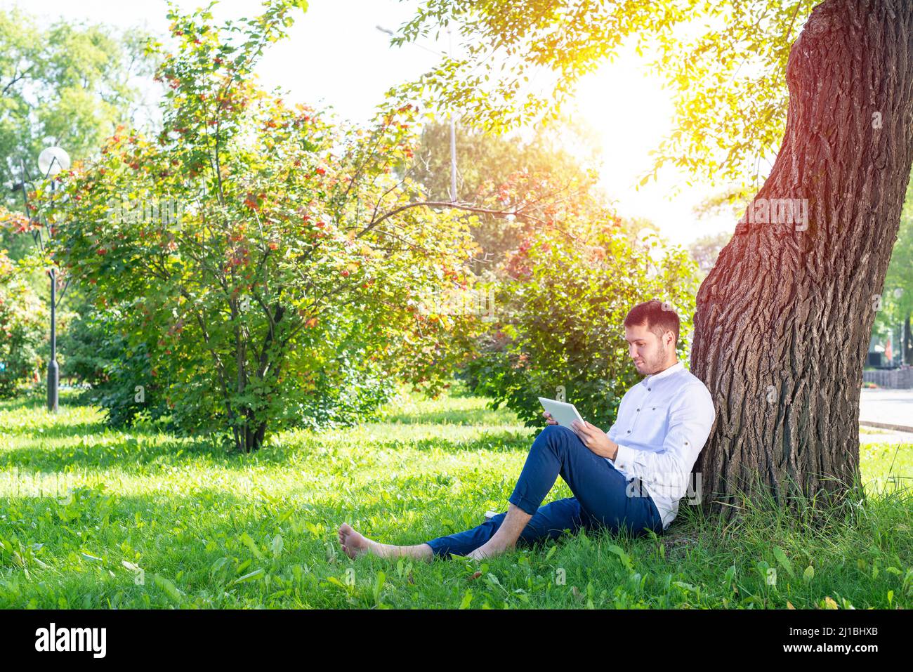 Using tablet under tree man hi-res stock photography and images - Alamy
