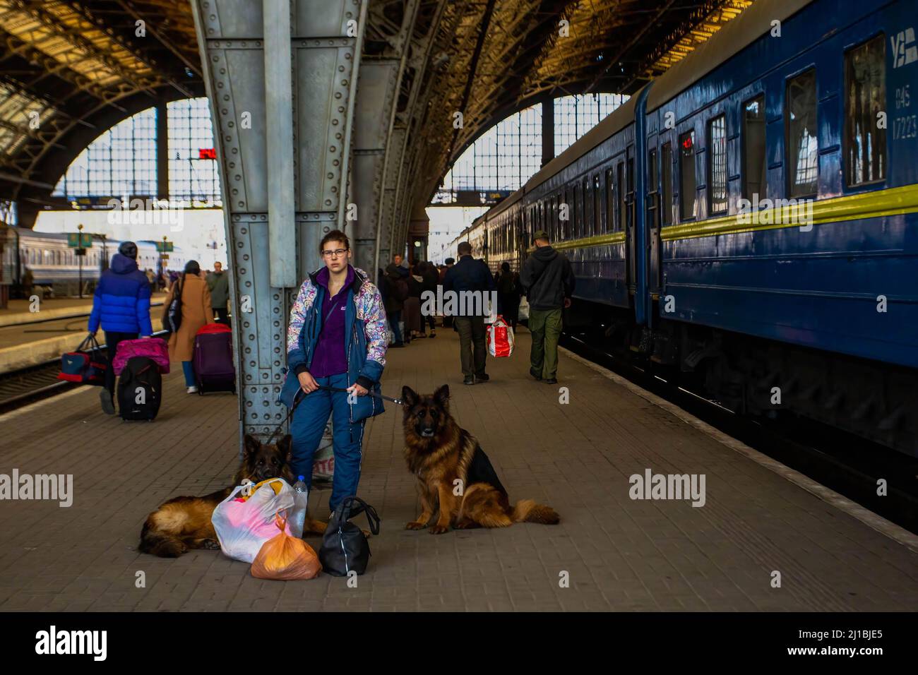 A refugee from Mariupol with her dogs. A train carrying refugees from ...