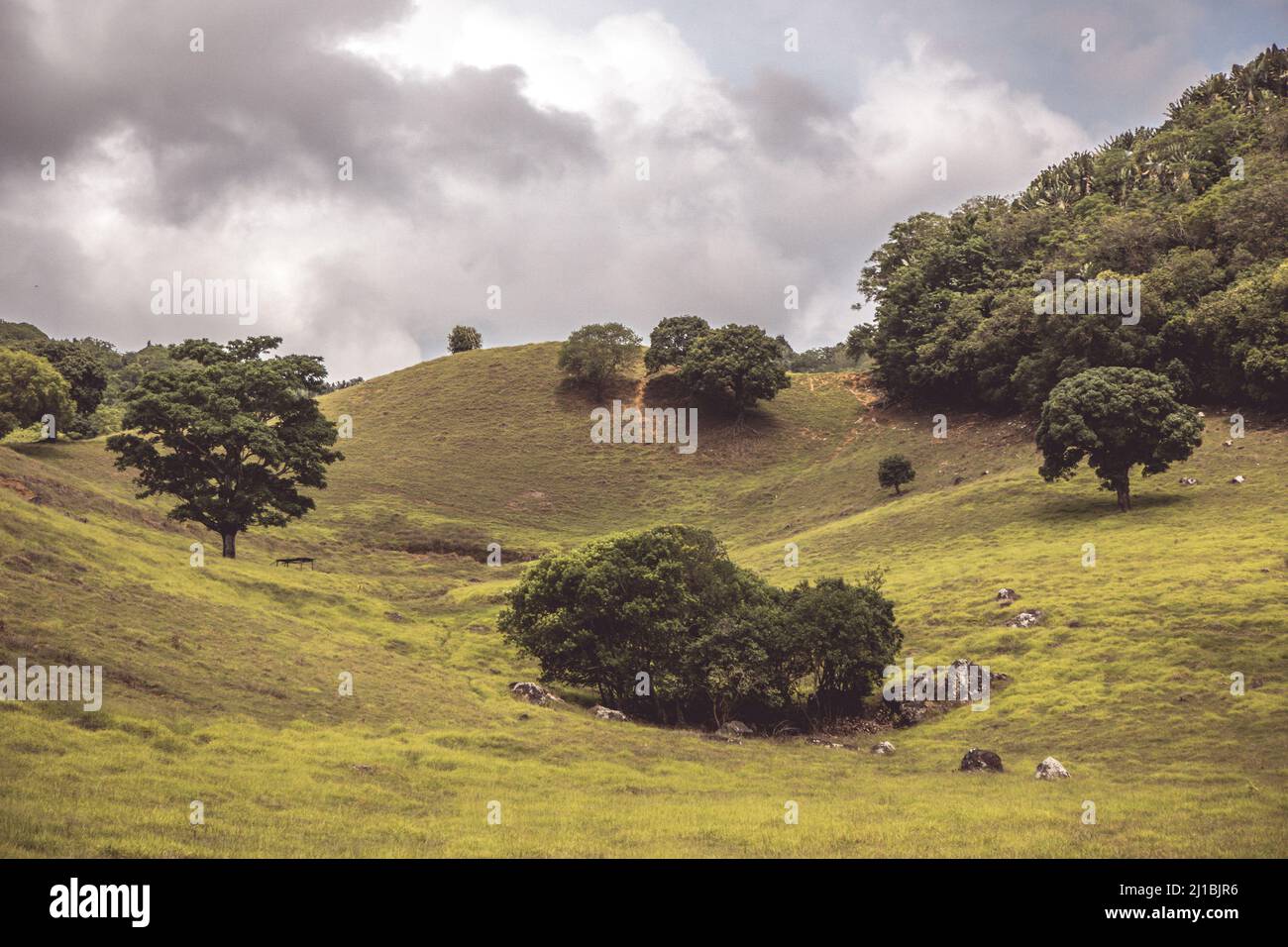 A view of a hilly field with trees growing on it Stock Photo - Alamy