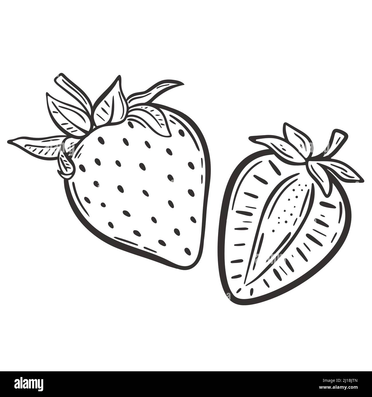 Strawberry Line Drawing