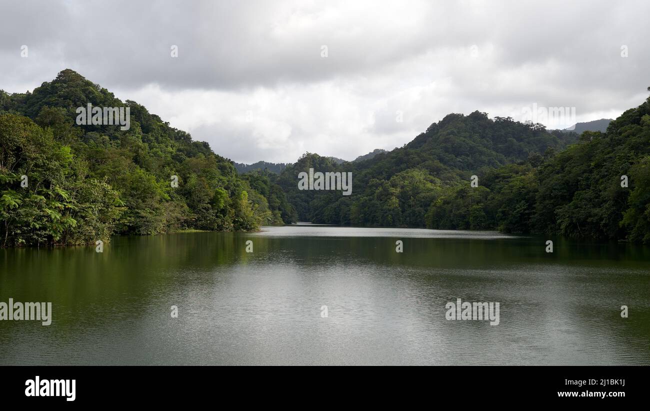 Mesmerizing landscape lush forested hi-res stock photography and images ...