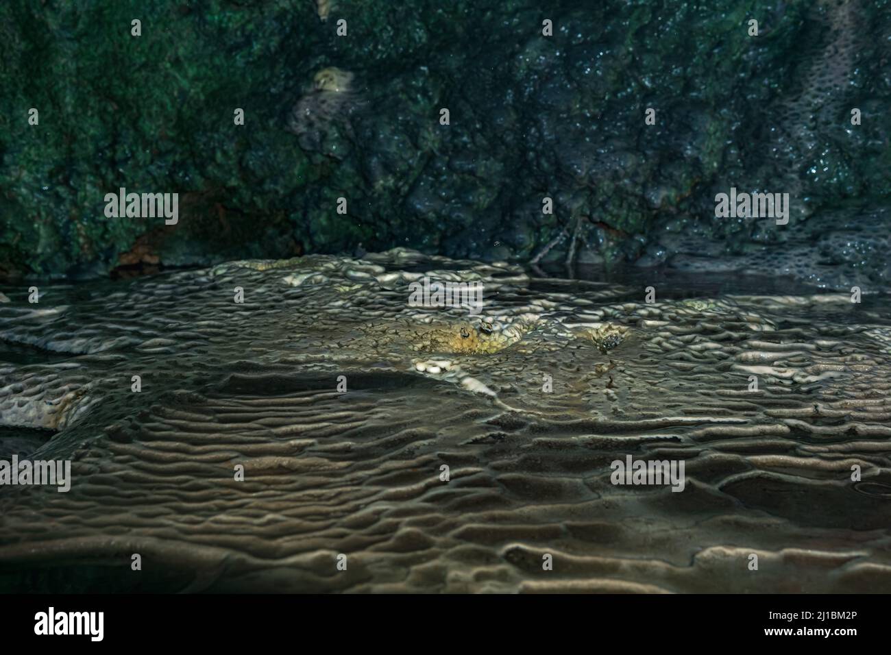 subterranean landscape, speleotremes in an underground cave Stock Photo ...