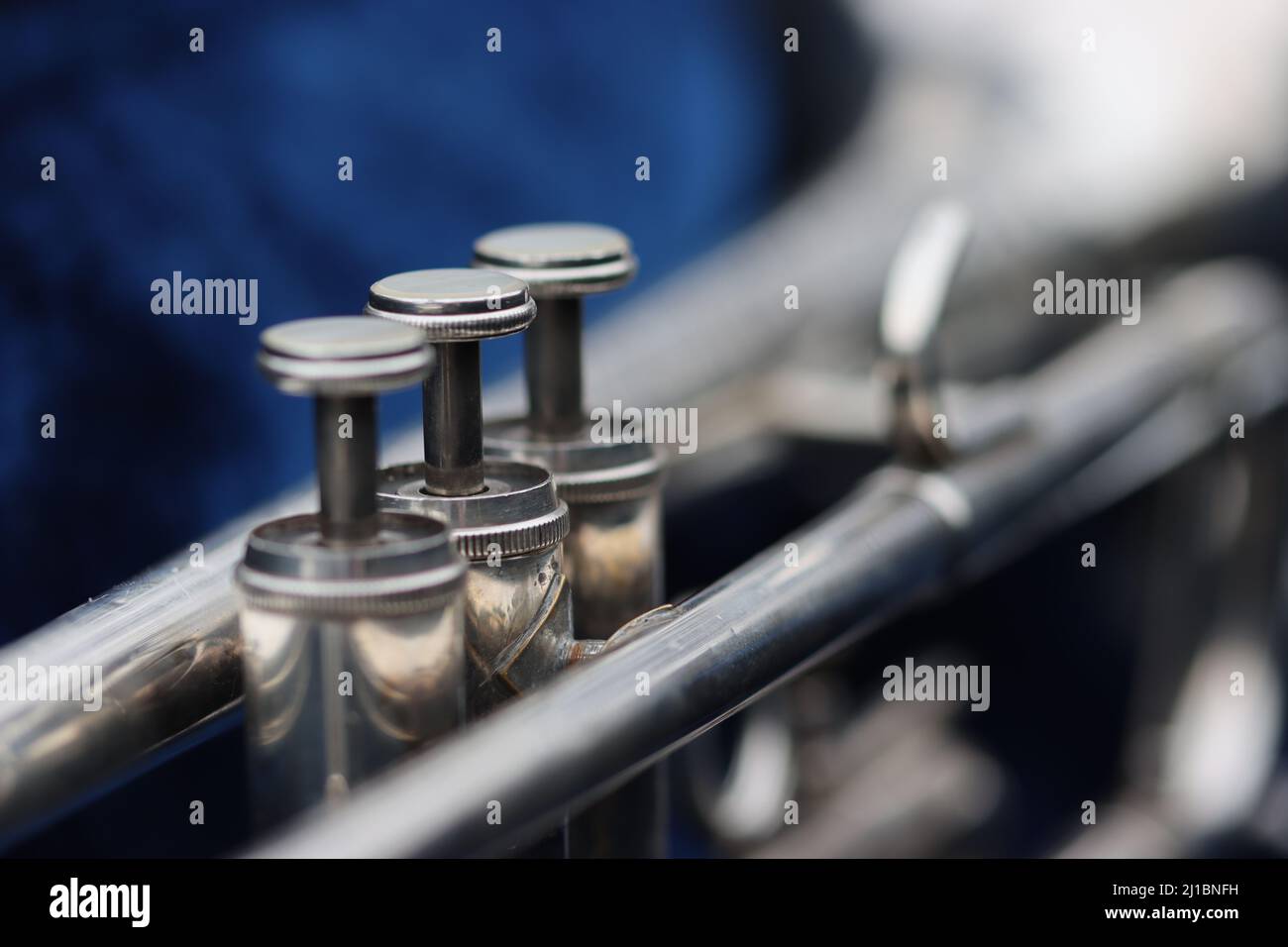Natural trumpet instrument hi-res stock photography and images - Alamy