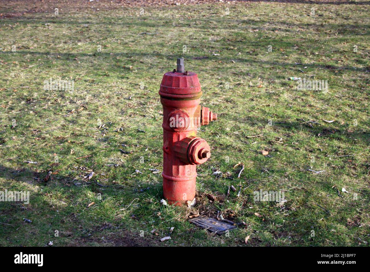 closeup photo of red hydrant in grass Stock Photo - Alamy